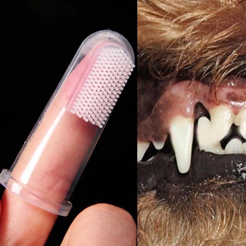 Finger Toothbrush for Dogs & Cats Teeth Care – Pacco Pet