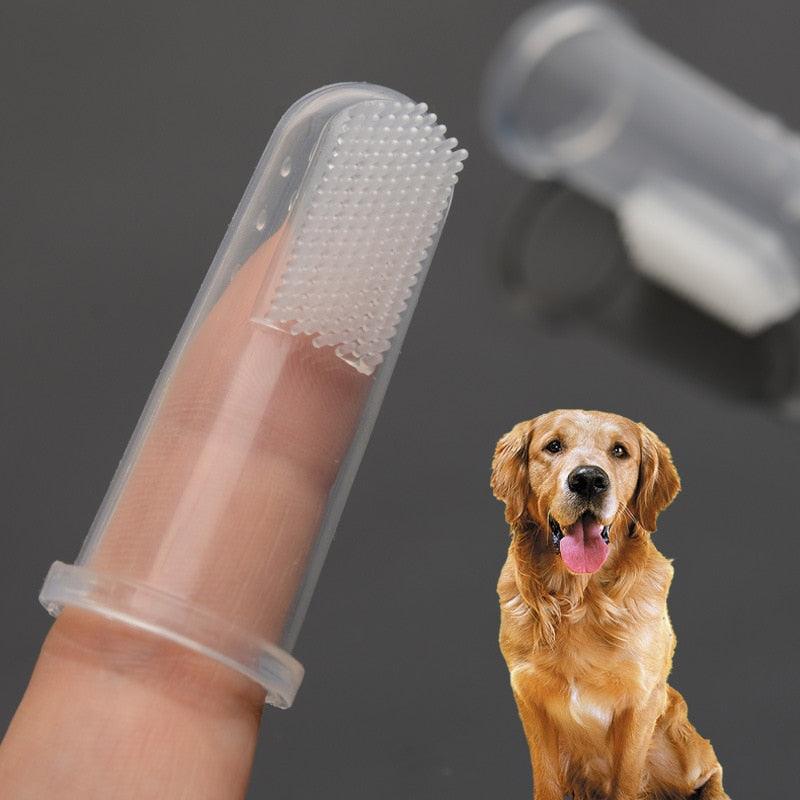 Finger Toothbrush for Dogs & Cats Teeth Care – Pacco Pet